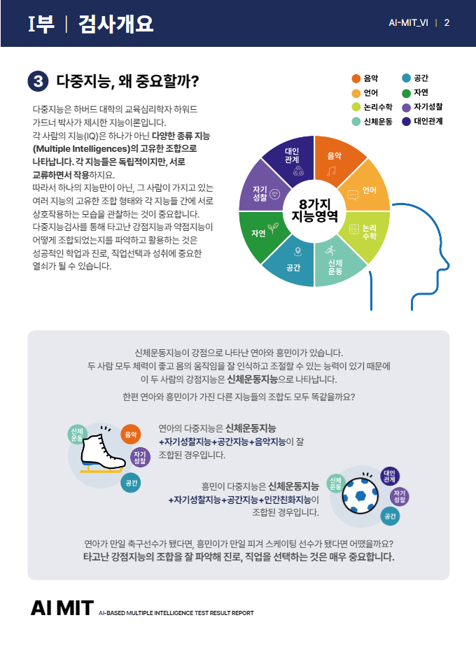 AI 다중지능검사 인큐연구소 - AIMIT